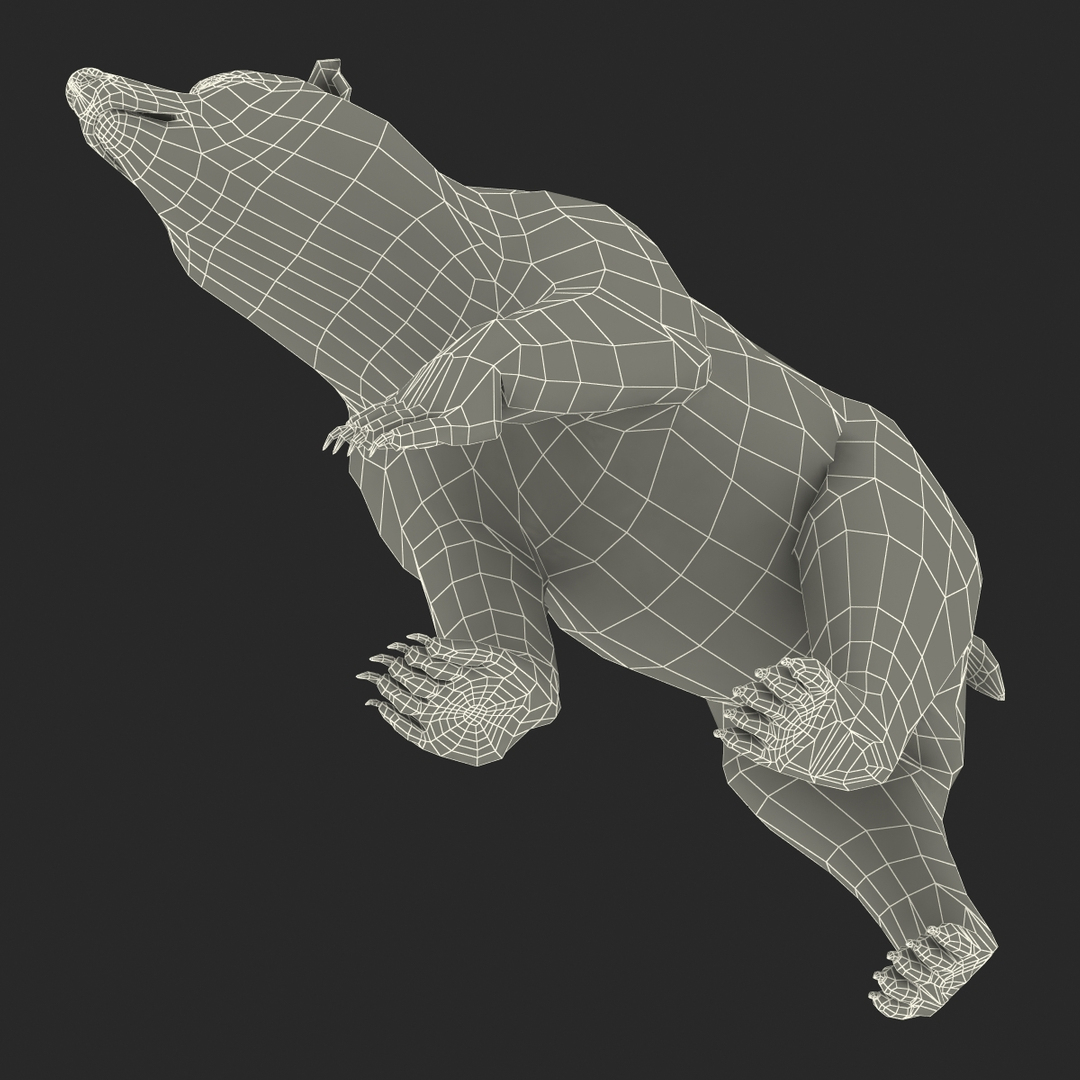 brown bear fur pose 3d model