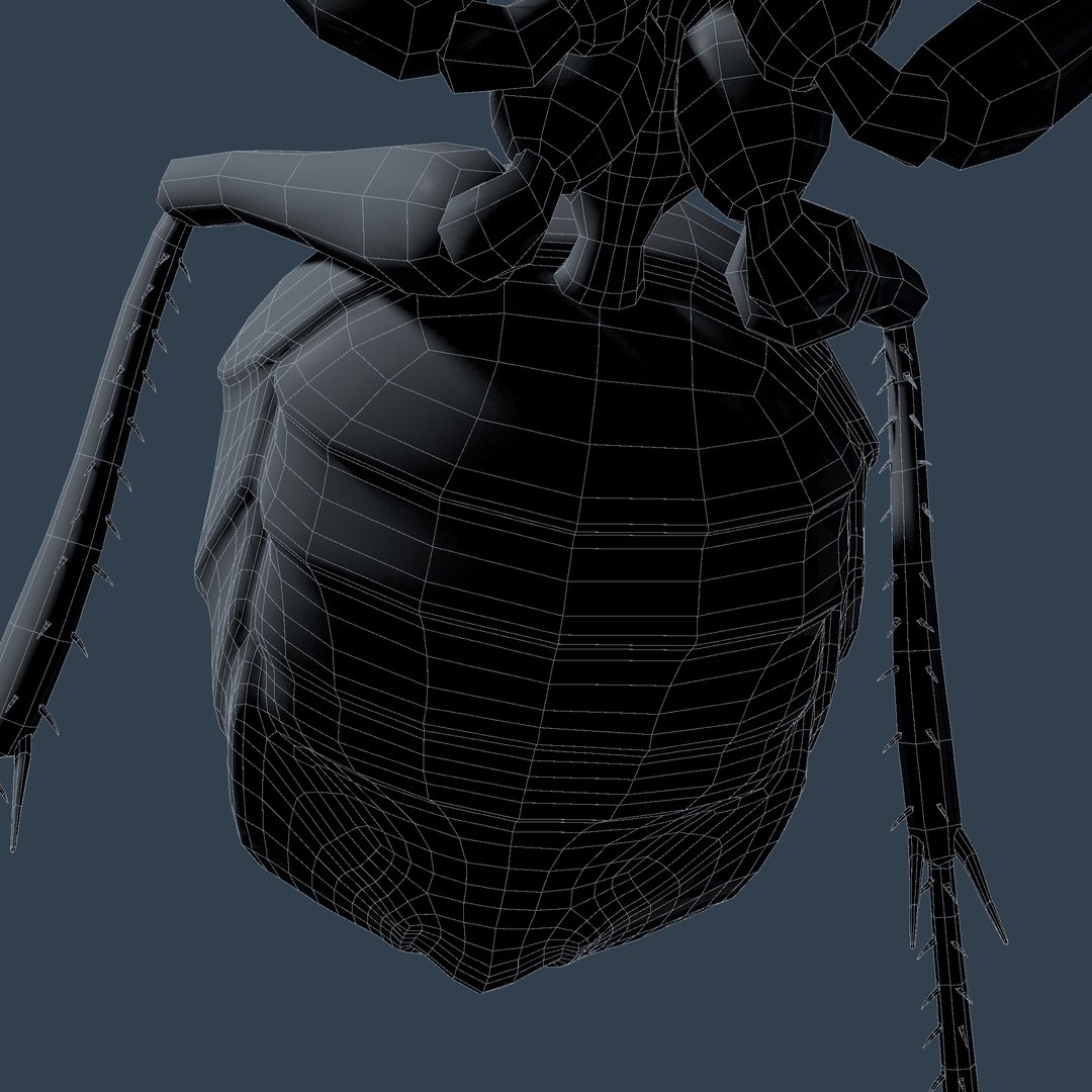 Photorealistic ant rigged 3D model - TurboSquid 1216544