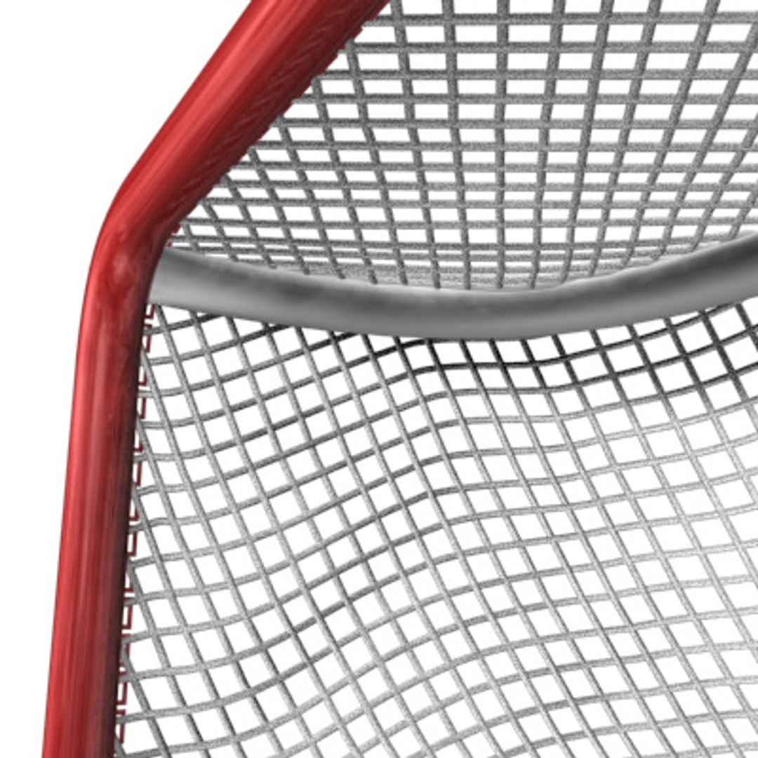 Goal Net Max