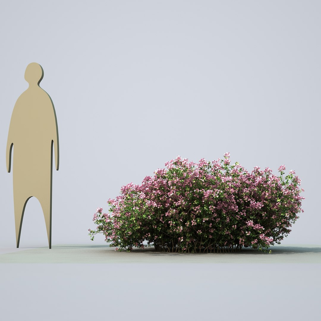 2 Tree 3D Model - TurboSquid 1174365