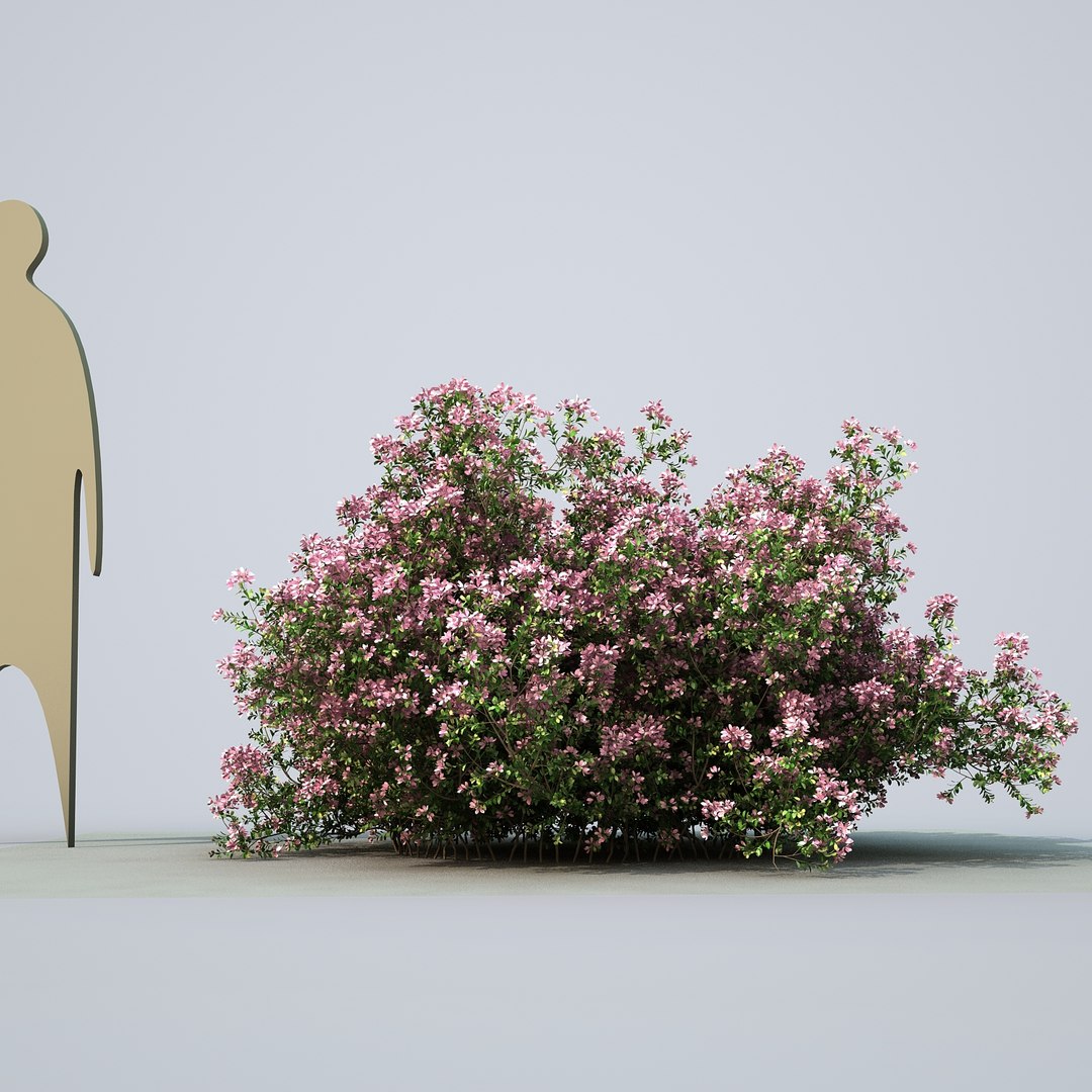 2 Tree 3D Model - TurboSquid 1174365