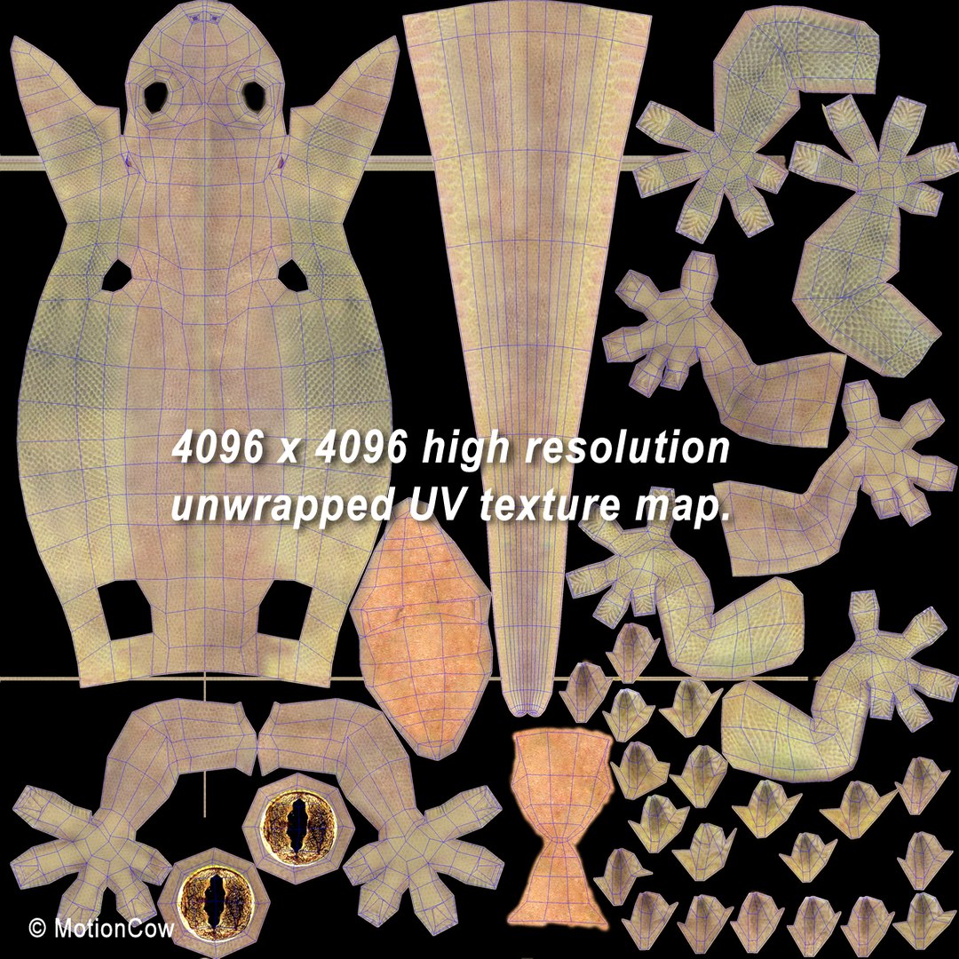 3d House Lizard Model