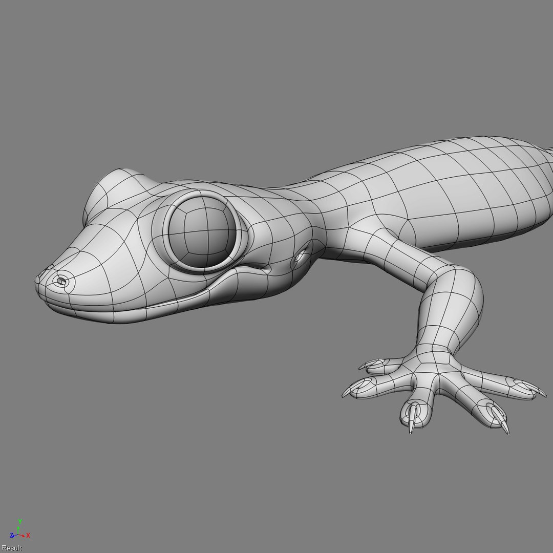 3d House Lizard Model