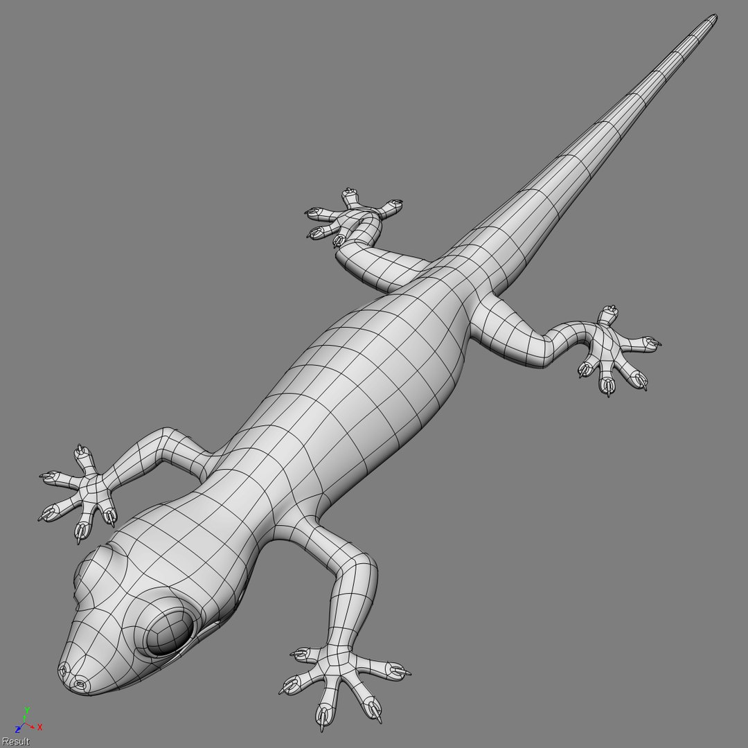 3d House Lizard Model
