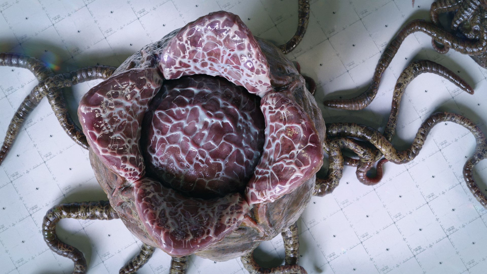 3D Alien Eggs 4 Variants Model - TurboSquid 1501367