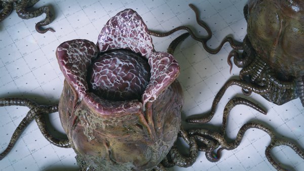 modelo 3d Alien Eggs 4 Variantes más Nidos y Zarcillos - 3D Asset Kit ...