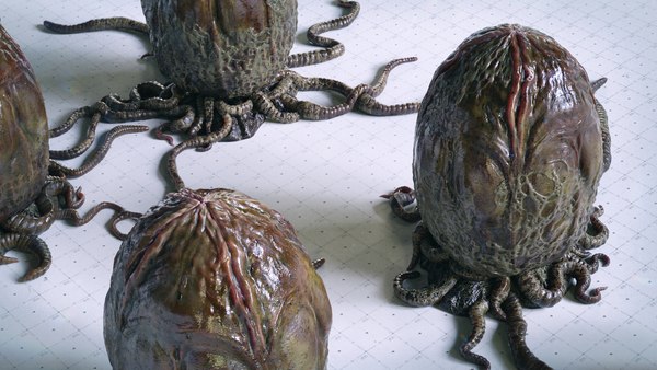 Ovos alienígenas 4 variantes, ninhos e gavinhas - 3D Asset Kit PBR ...