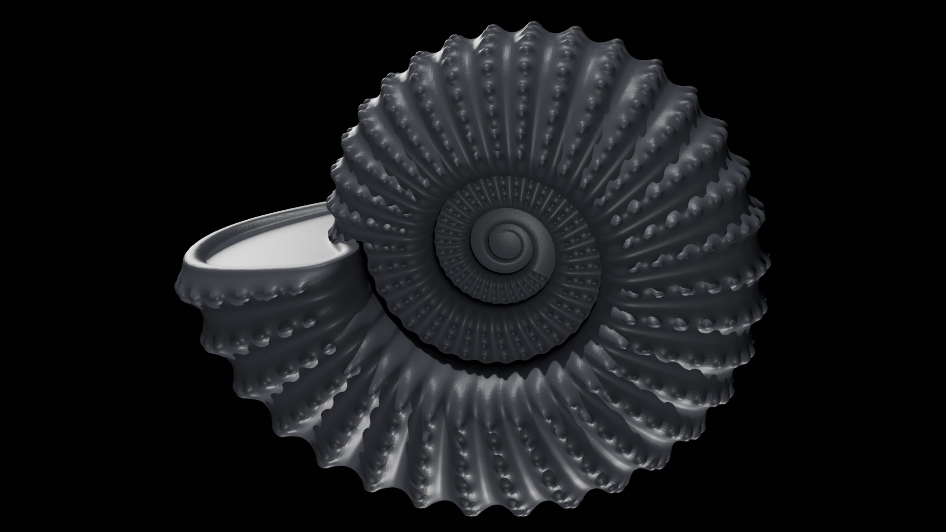Ammonoid Shell With Nodes 3D - TurboSquid 2298111