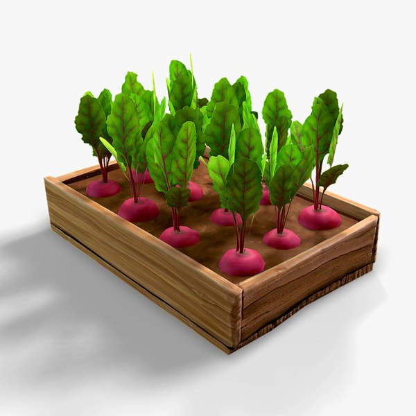 3D beets vegetable bed model - TurboSquid 1609863