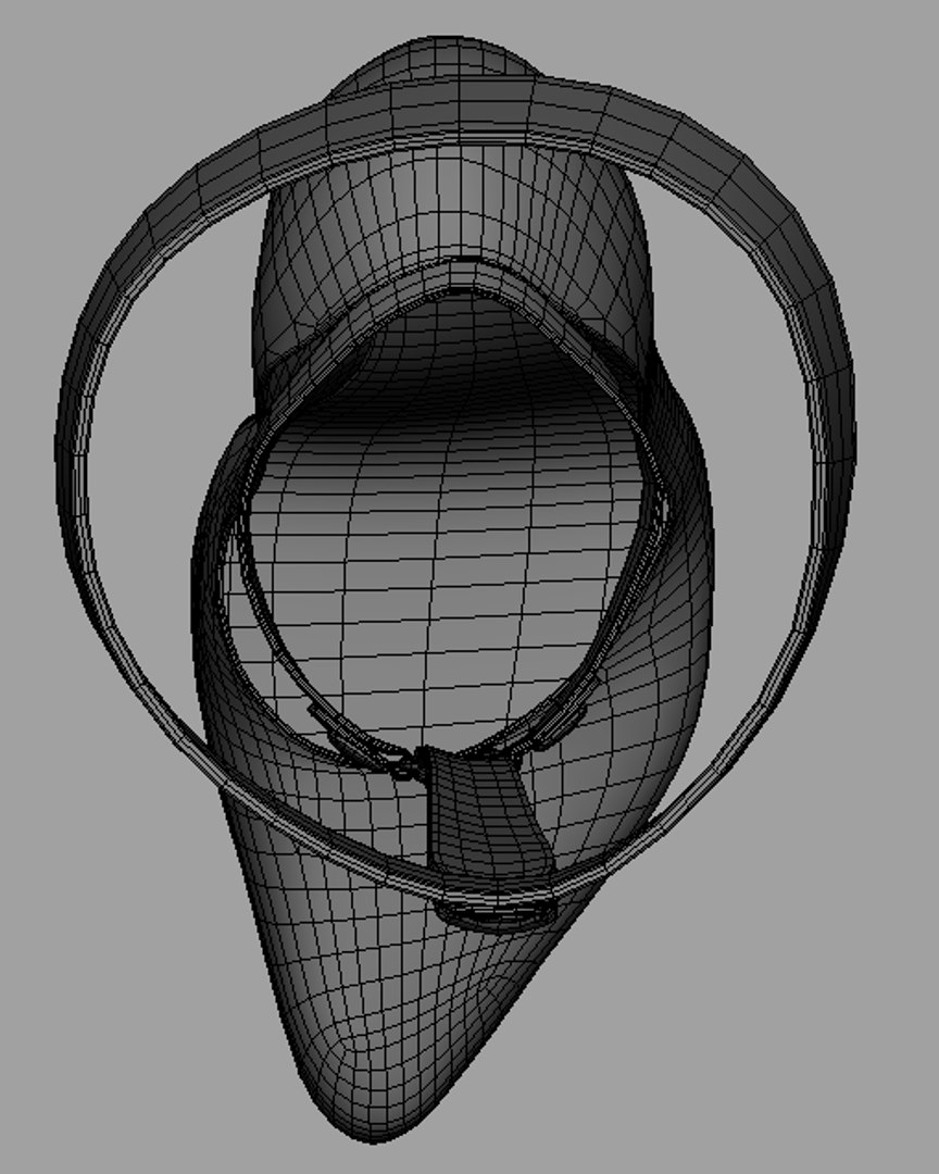 Life 3D Model - TurboSquid 1179425