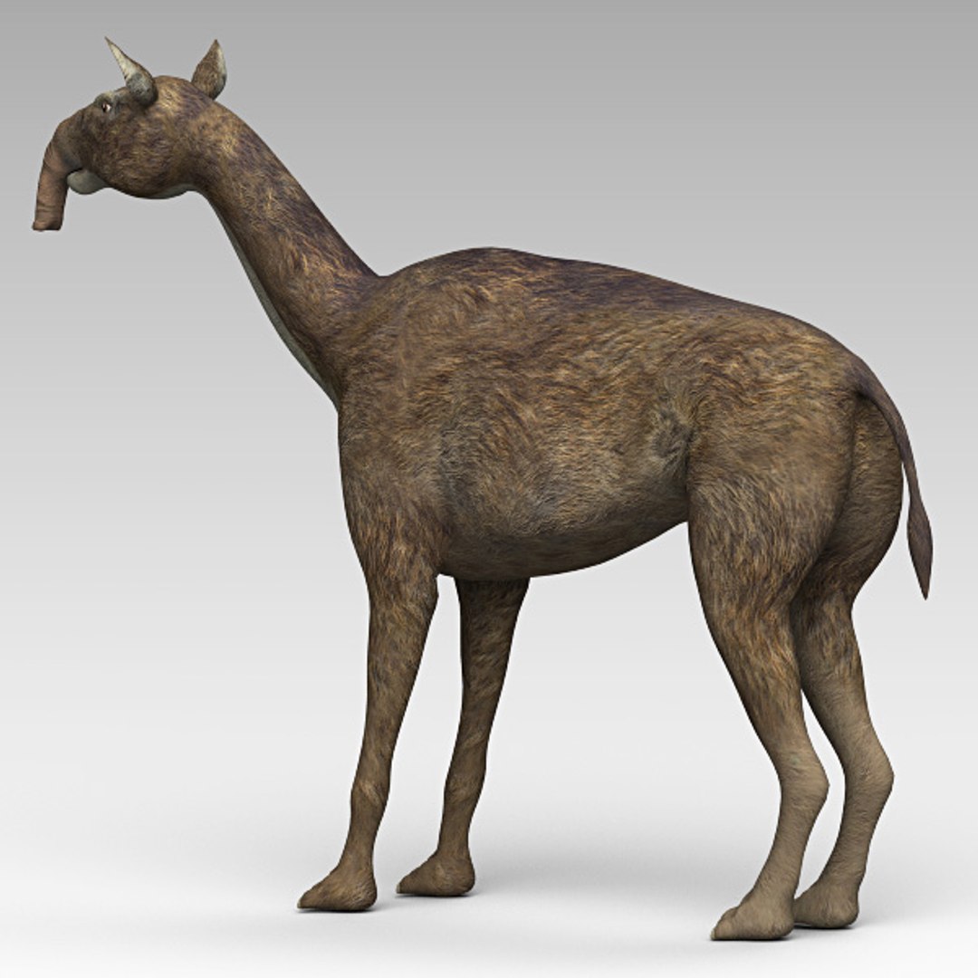 3d macrauchenia model