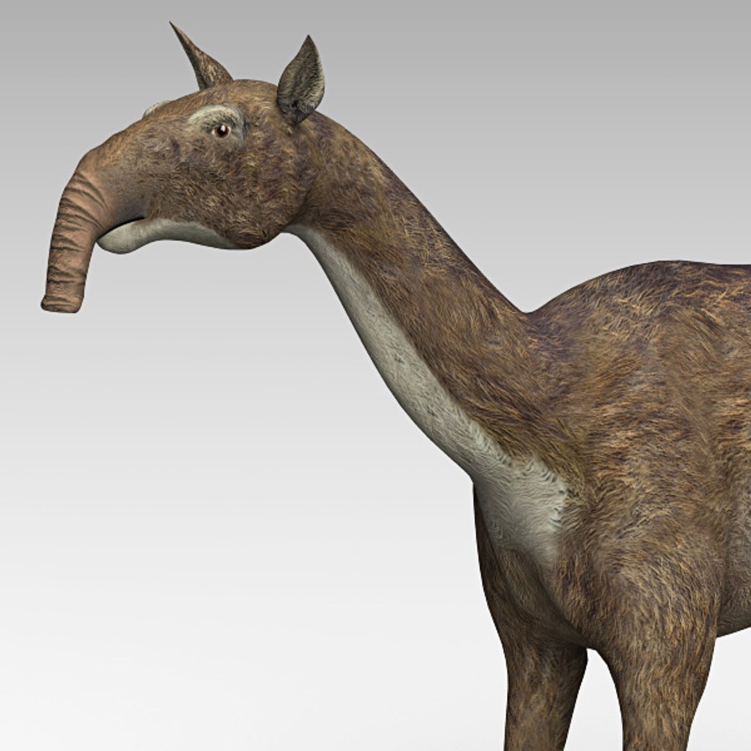 3d macrauchenia model