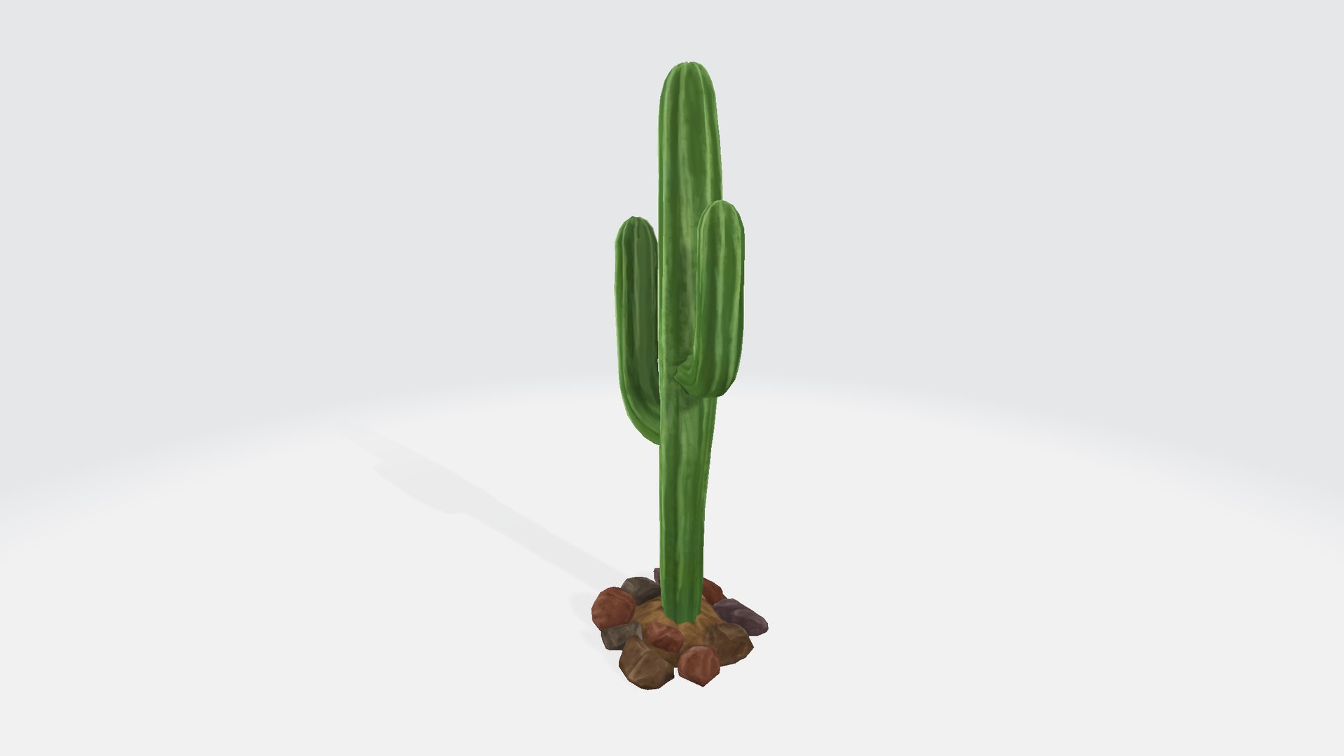 Cactus 3D Model - TurboSquid 2365207