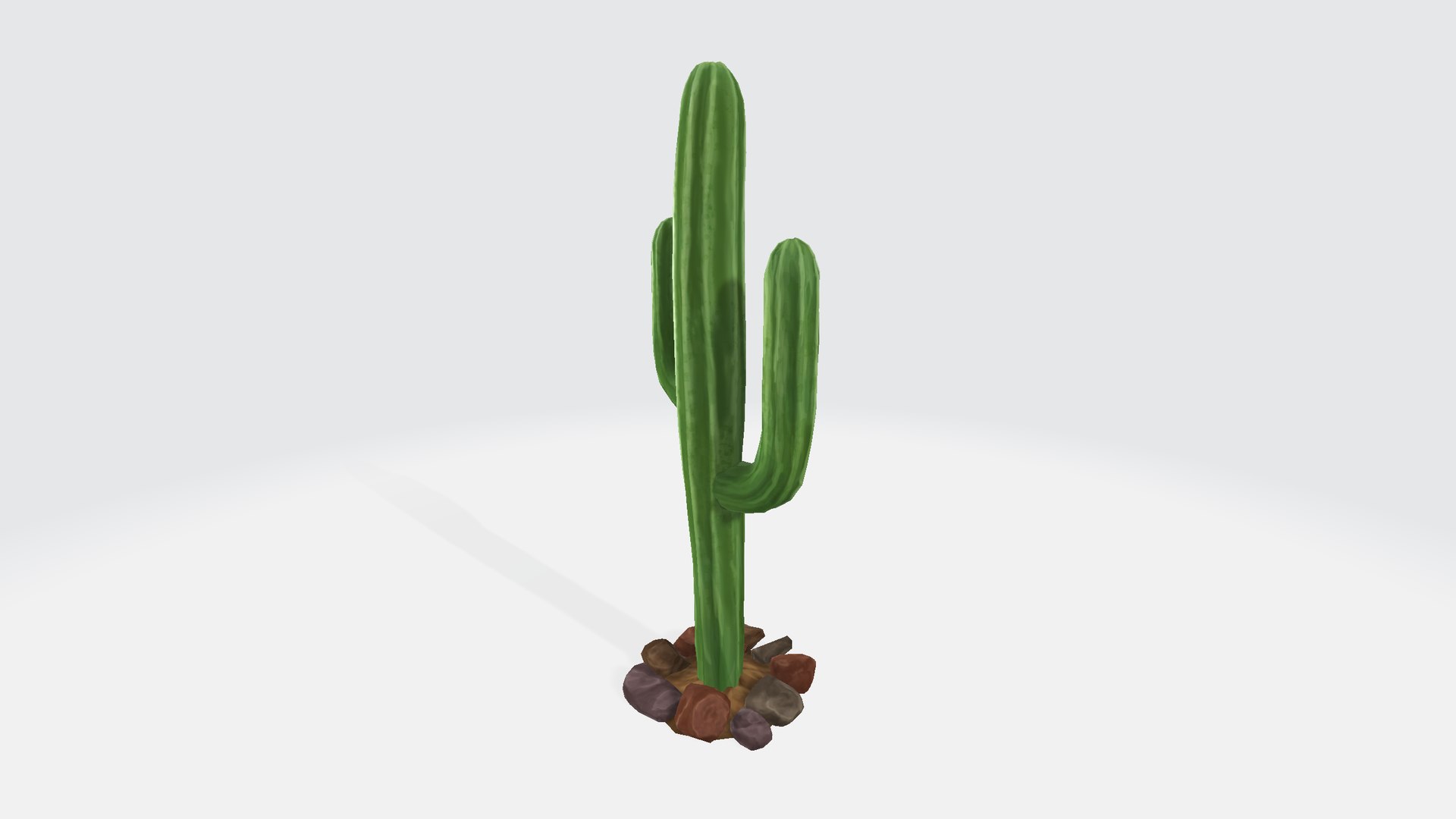 Cactus 3D Model - TurboSquid 2365207
