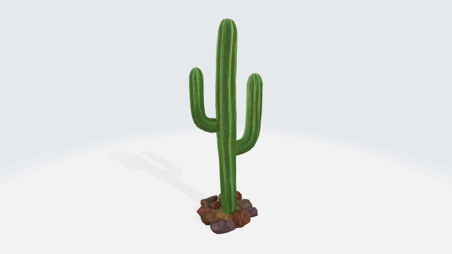 Cactus 3D Model - TurboSquid 2365207