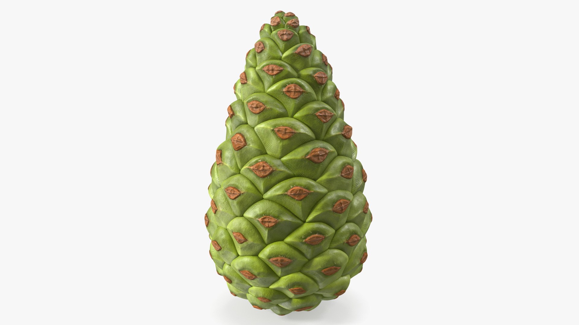 3D model Green Pine Cone - TurboSquid 2024642