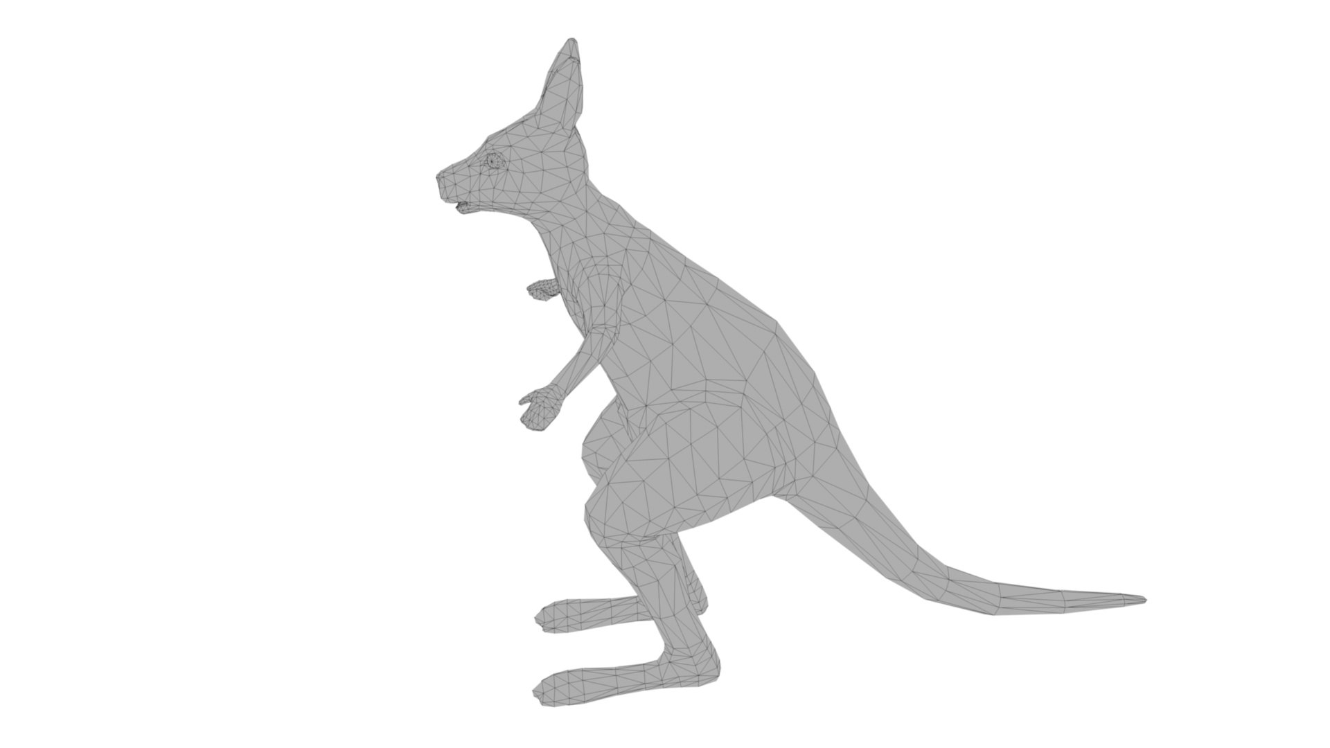 3D Model Kangaroo - TurboSquid 1854826