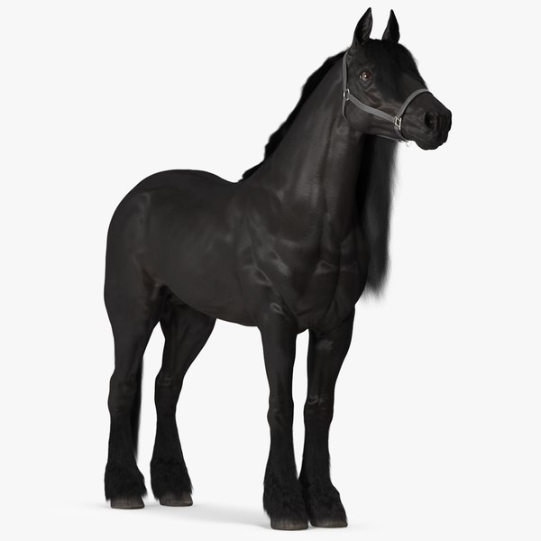 modelo 3d Piel de caballo frisón - TurboSquid 2181786