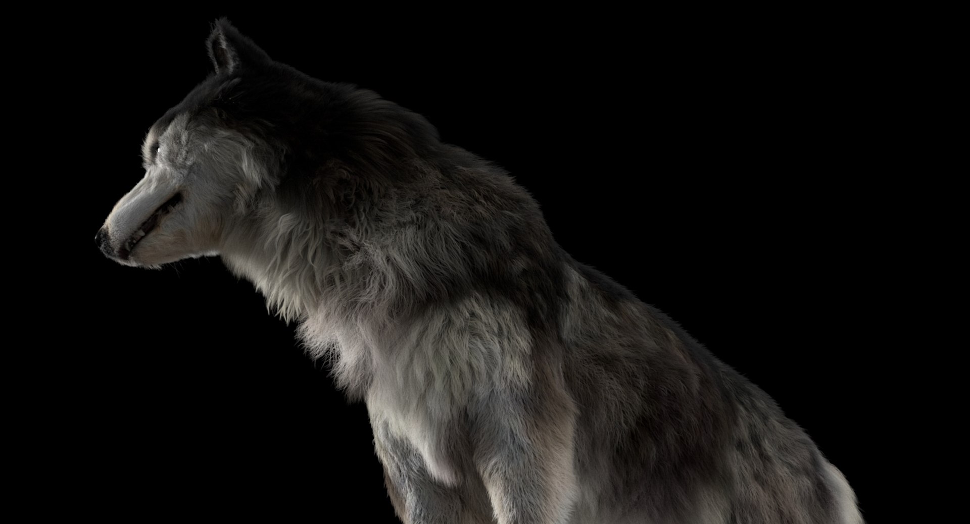 3D Rigged Fur Model - TurboSquid 1342566