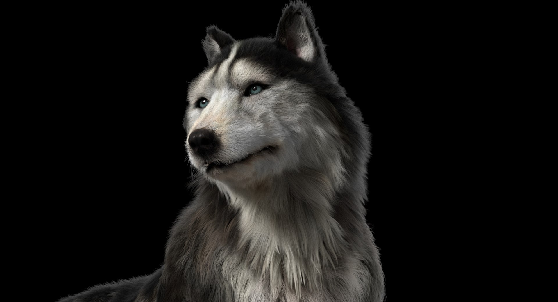 3D Rigged Fur Model - TurboSquid 1342566