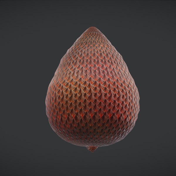 modelo 3d Fruta Salak Low Poly - TurboSquid 2371631