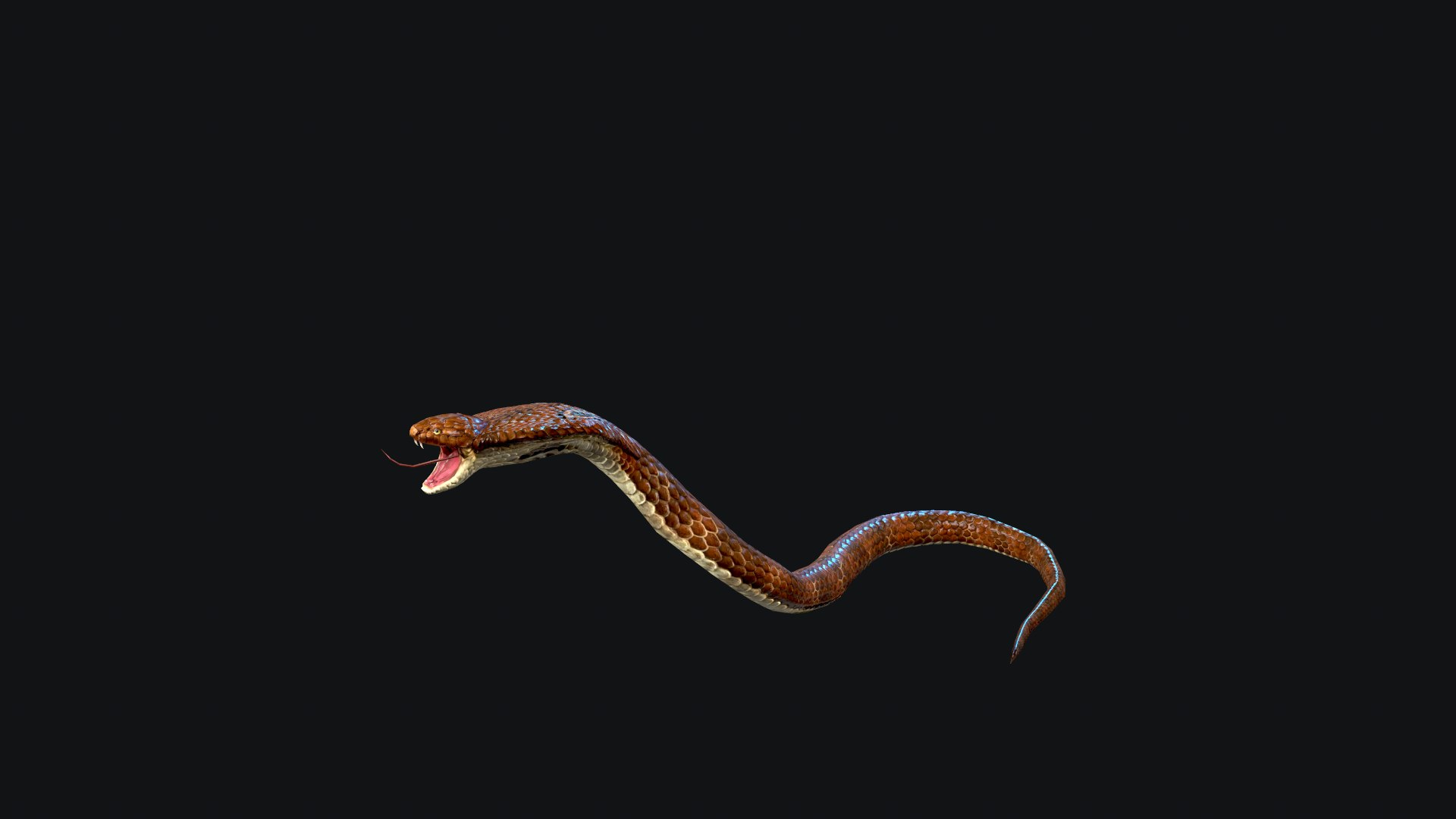 3D King Cobra Animation - TurboSquid 2010728