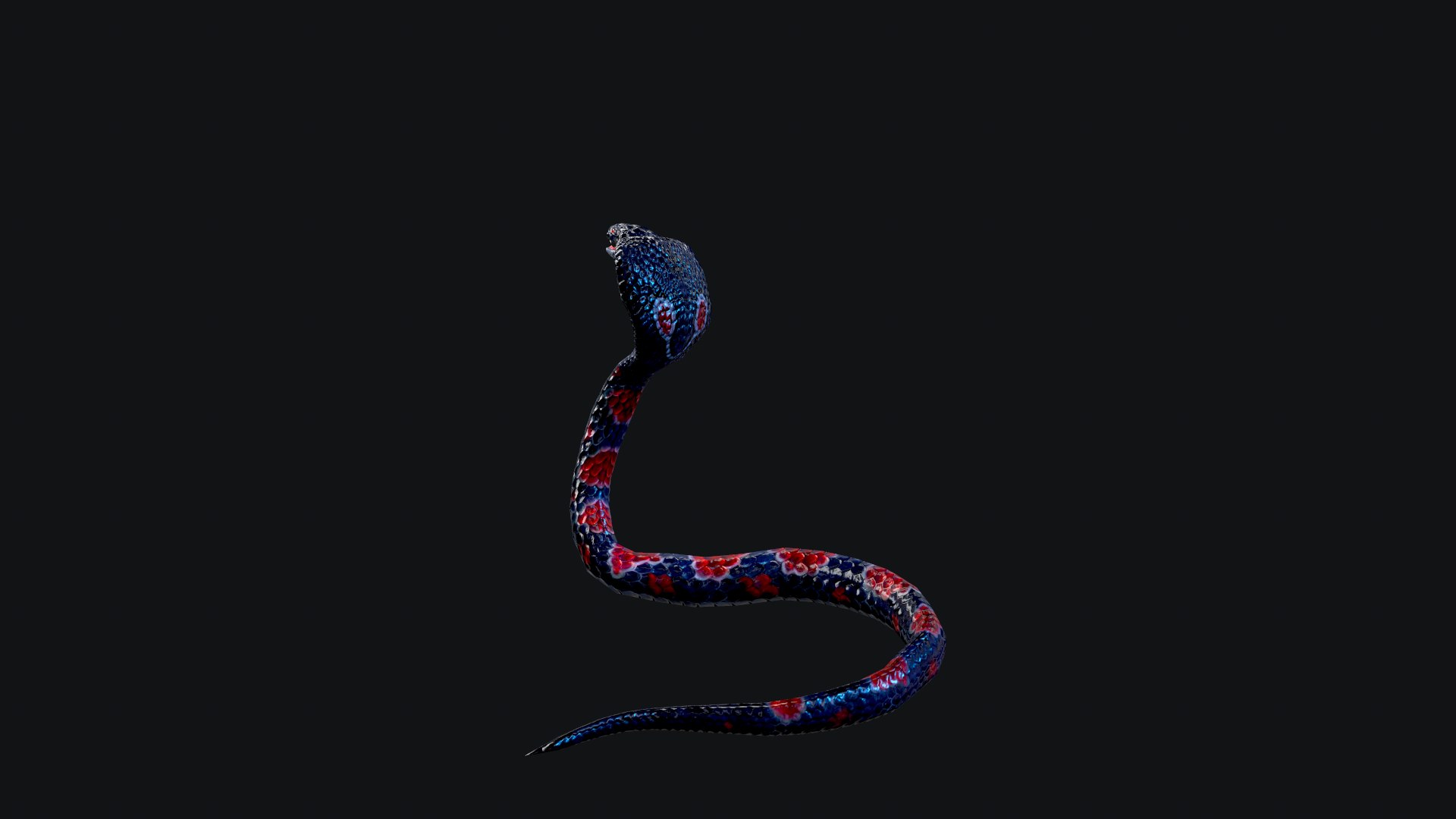 3D King Cobra Animation - TurboSquid 2010728