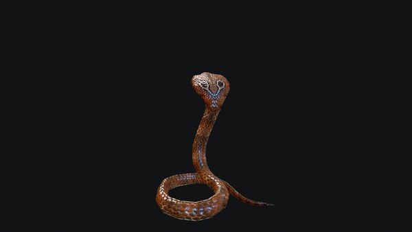 modelo 3d King Cobra Animation - TurboSquid 2010728