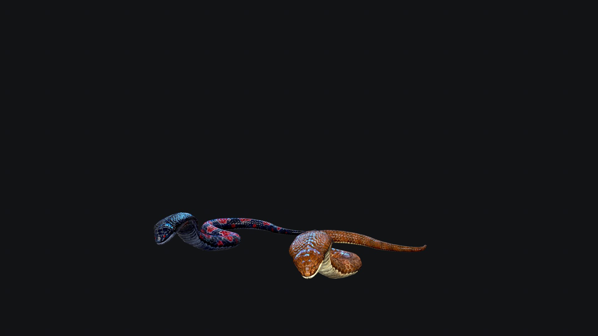 3D King Cobra Animation - TurboSquid 2010728