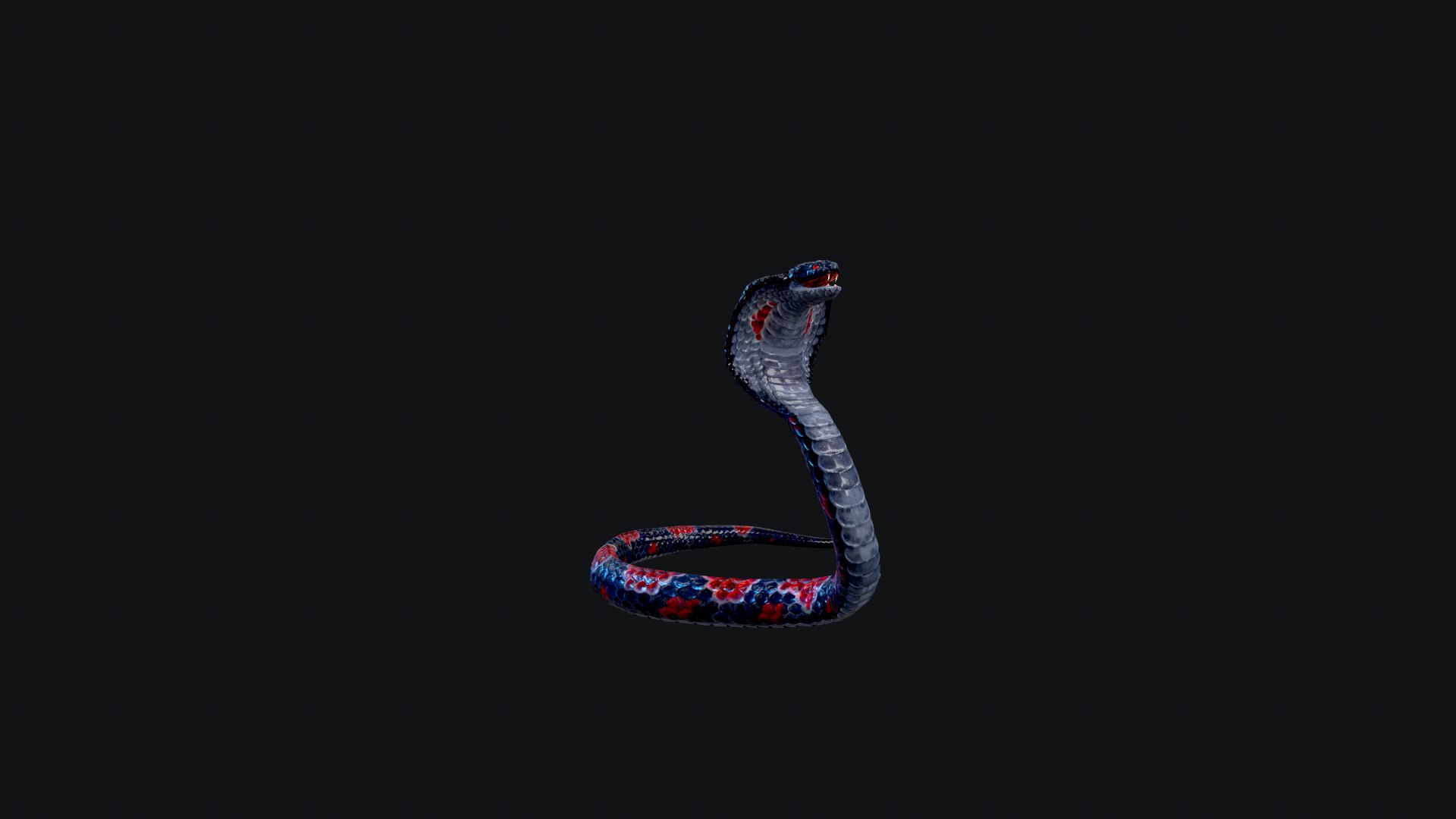 3D King Cobra Animation - TurboSquid 2010728