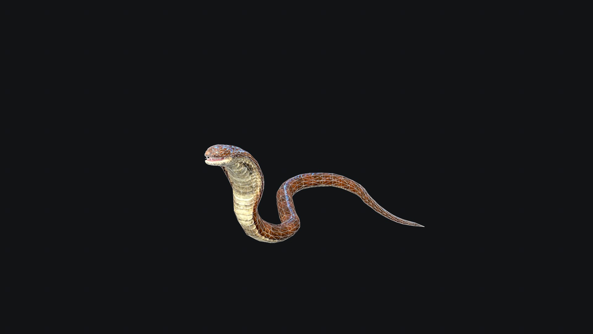 3D King Cobra Animation - TurboSquid 2010728
