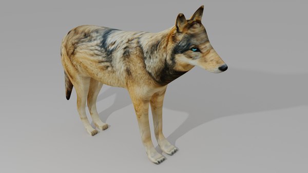 modelo 3d Lobo OBJ - TurboSquid 2108181