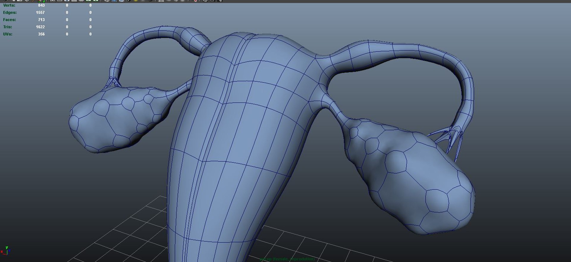 Female Ovary Anatomy 3D Model - TurboSquid 2414405