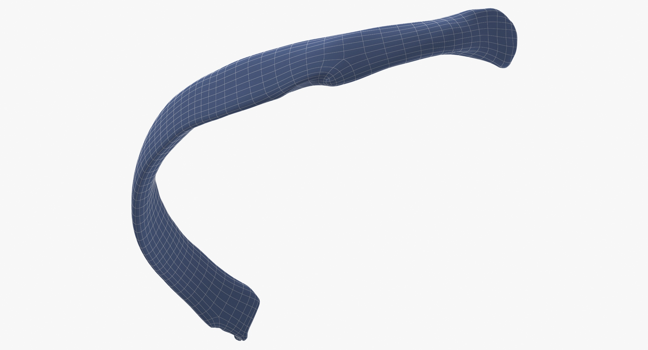 Costae spurie false rib 3D - TurboSquid 1658959