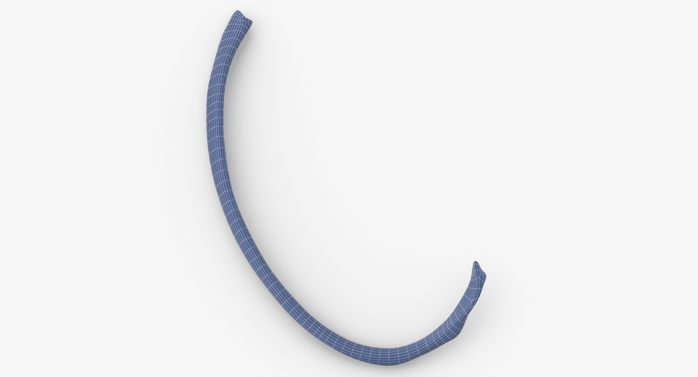 Costae spurie false rib 3D - TurboSquid 1658959