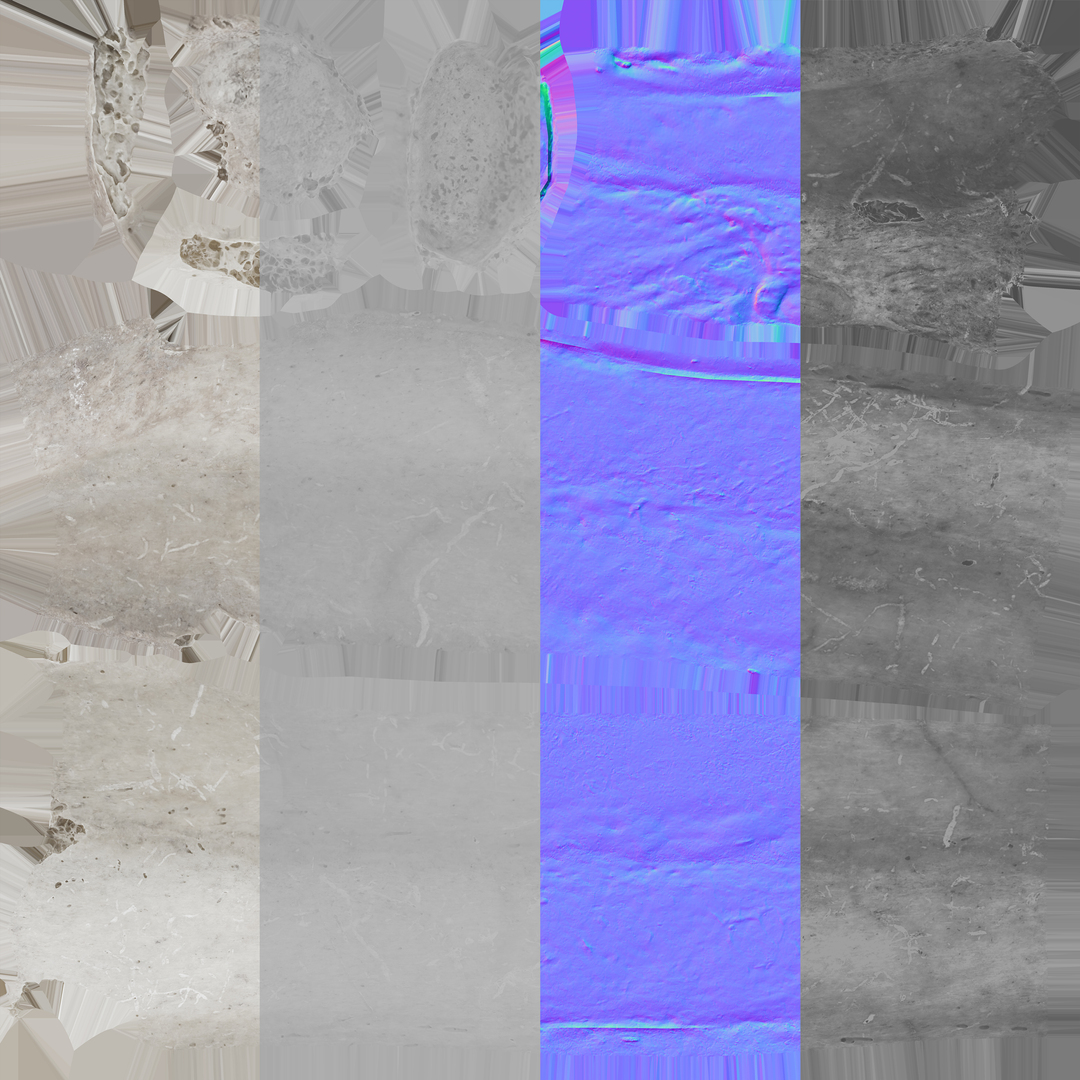 Costae spurie false rib 3D - TurboSquid 1658959