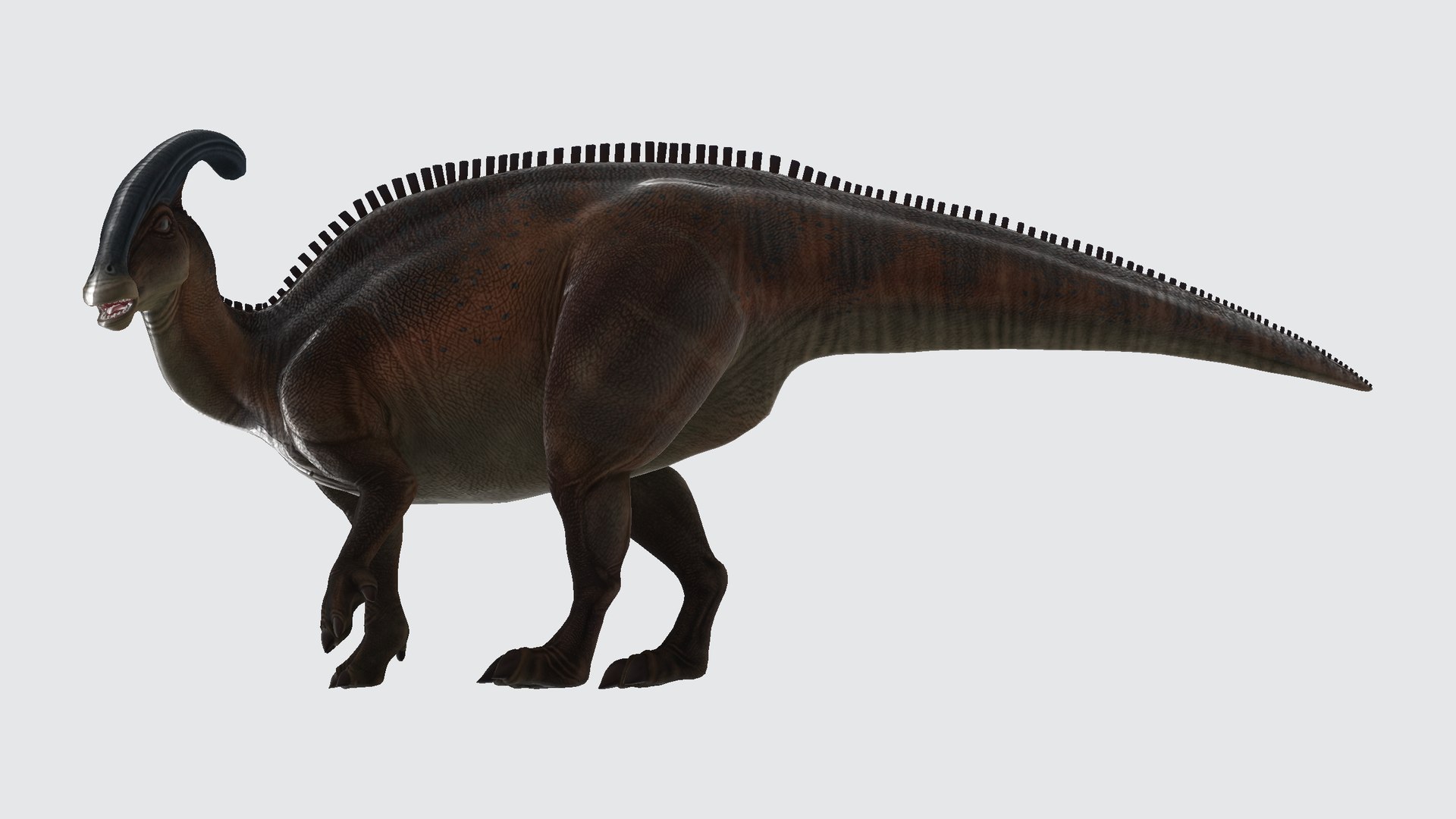 Parasaurolophus 3D Model - TurboSquid 2346182