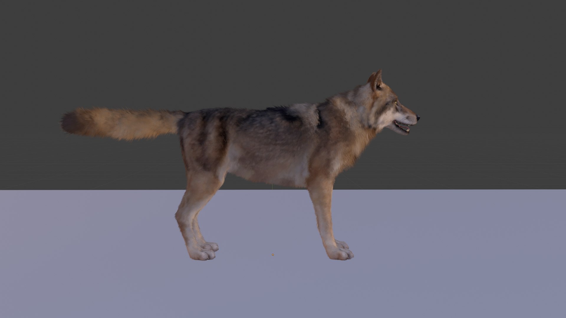 3D Wolf Gray PBR - TurboSquid 2221320