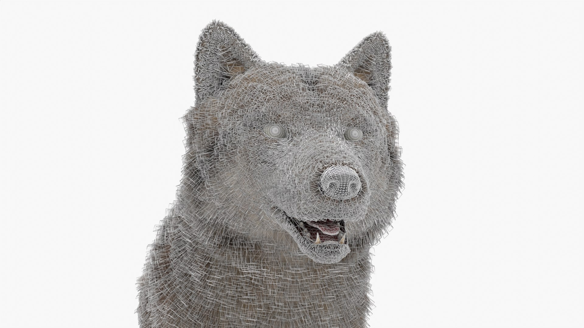 3D Wolf Gray PBR - TurboSquid 2221320