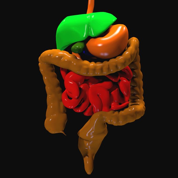 c4d digestive colors