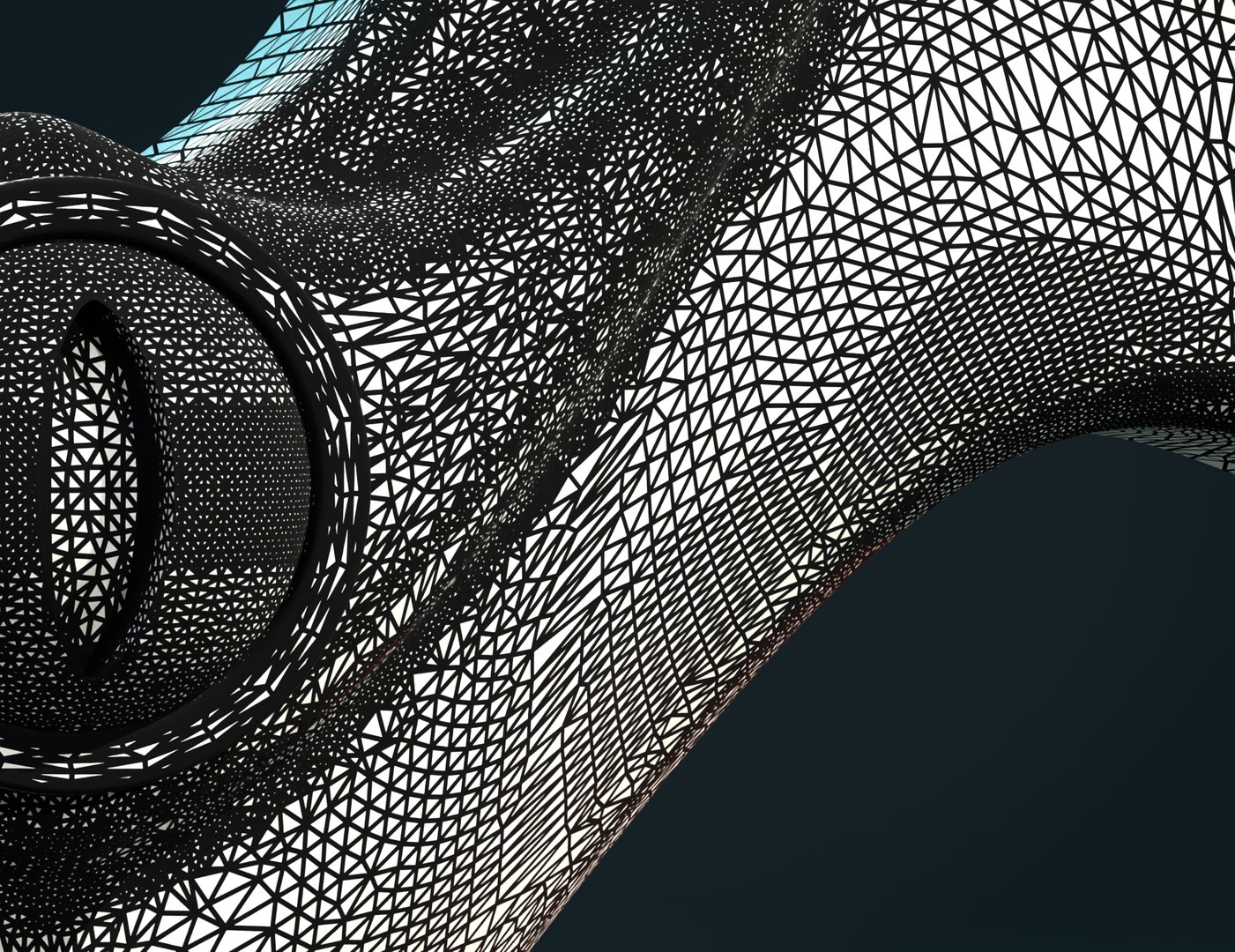 Bat Wings 3D Model - TurboSquid 1898033