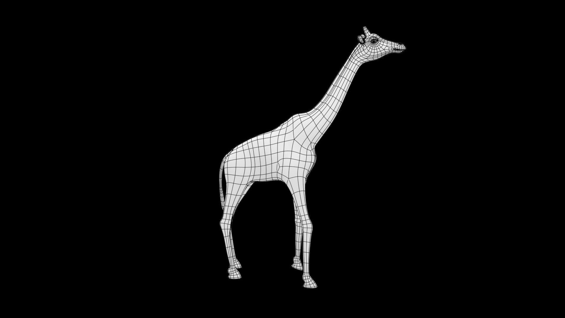 3D Giraffe Animated Wildlife Character Model - TurboSquid 2505400