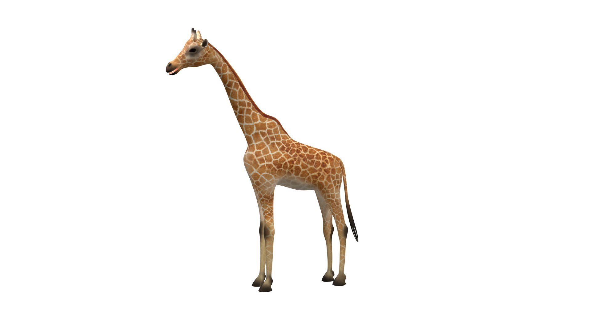 3D Giraffe Animated Wildlife Character Model - TurboSquid 2505400