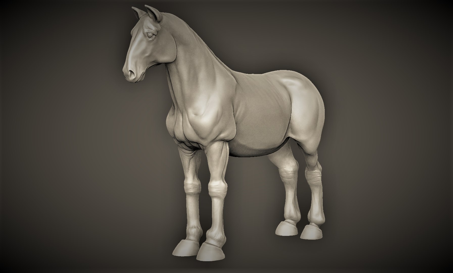 3D Model Horse - TurboSquid 1360212
