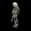 3d Model Skeleton Rigged