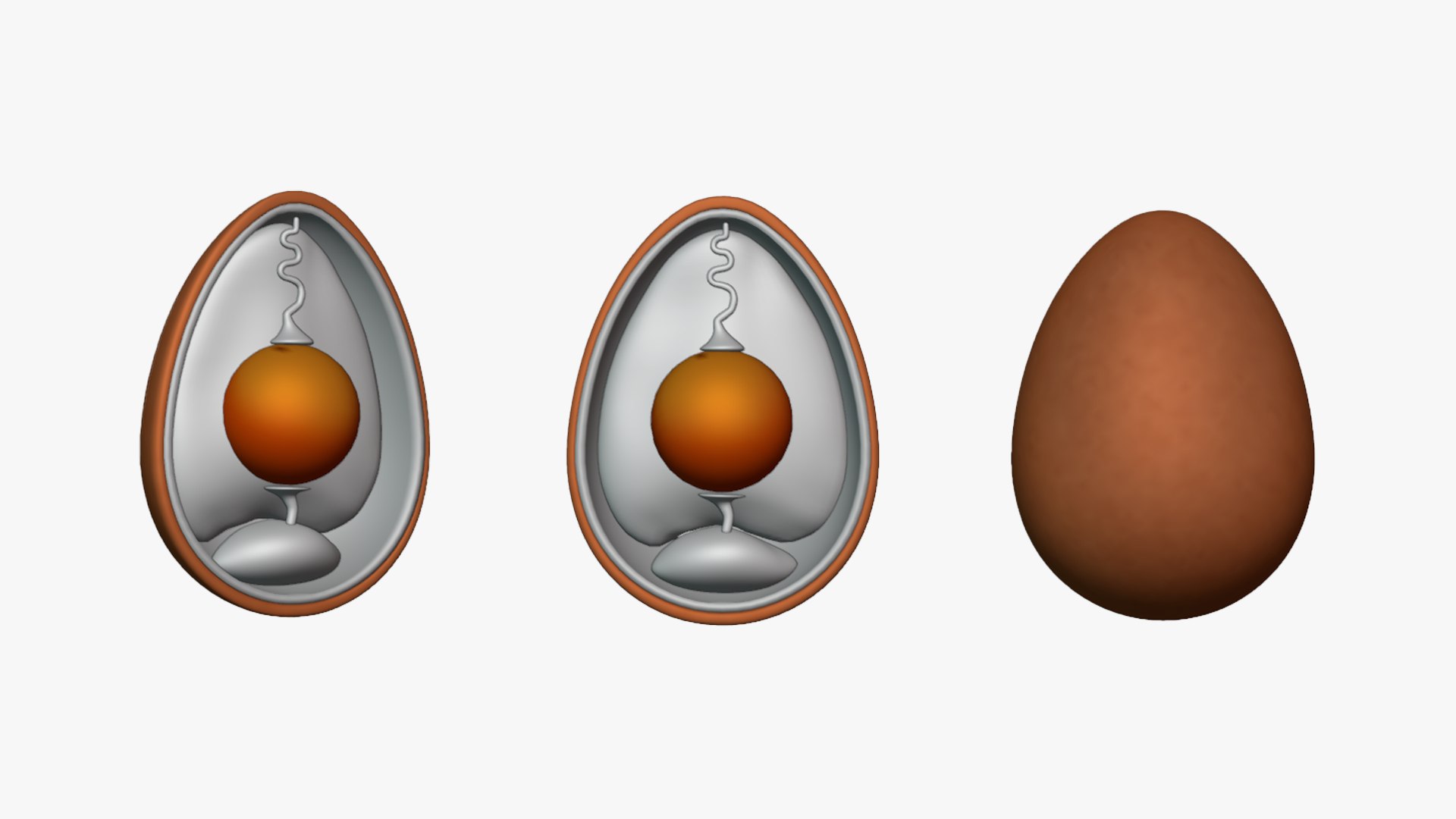 Anatomy Of Bird Egg Model - TurboSquid 2035236