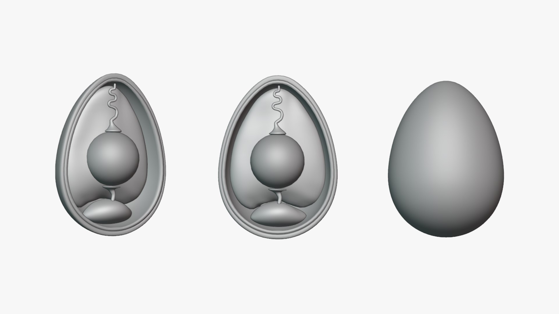 Anatomy Of Bird Egg Model Turbosquid