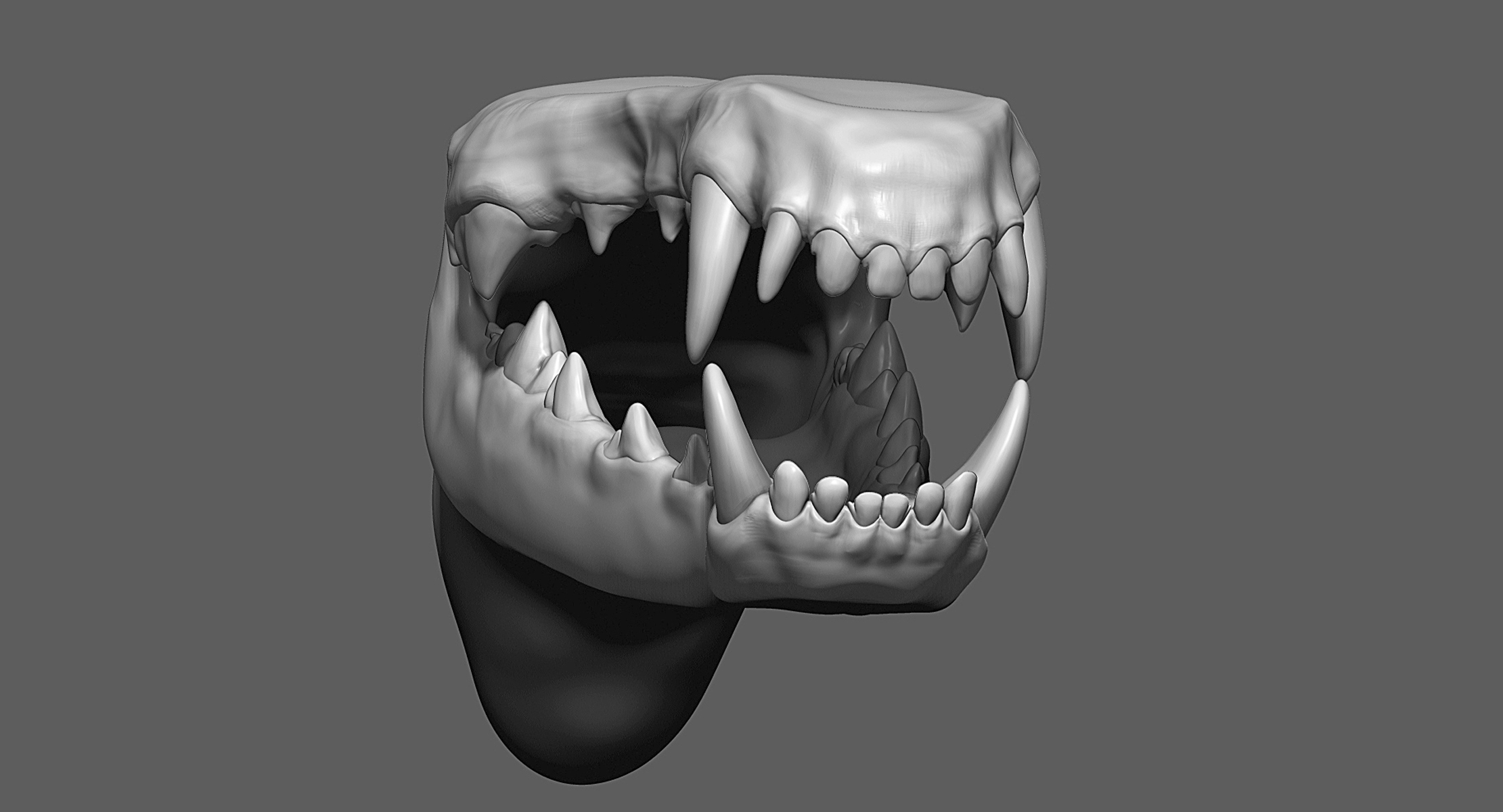 Animal Mouth ZBrush Sculpt Collection 3D Model TurboSquid 1771441 animal-mouth-zbrush-sculpt-collection-3d-model-turbosquid-1771441