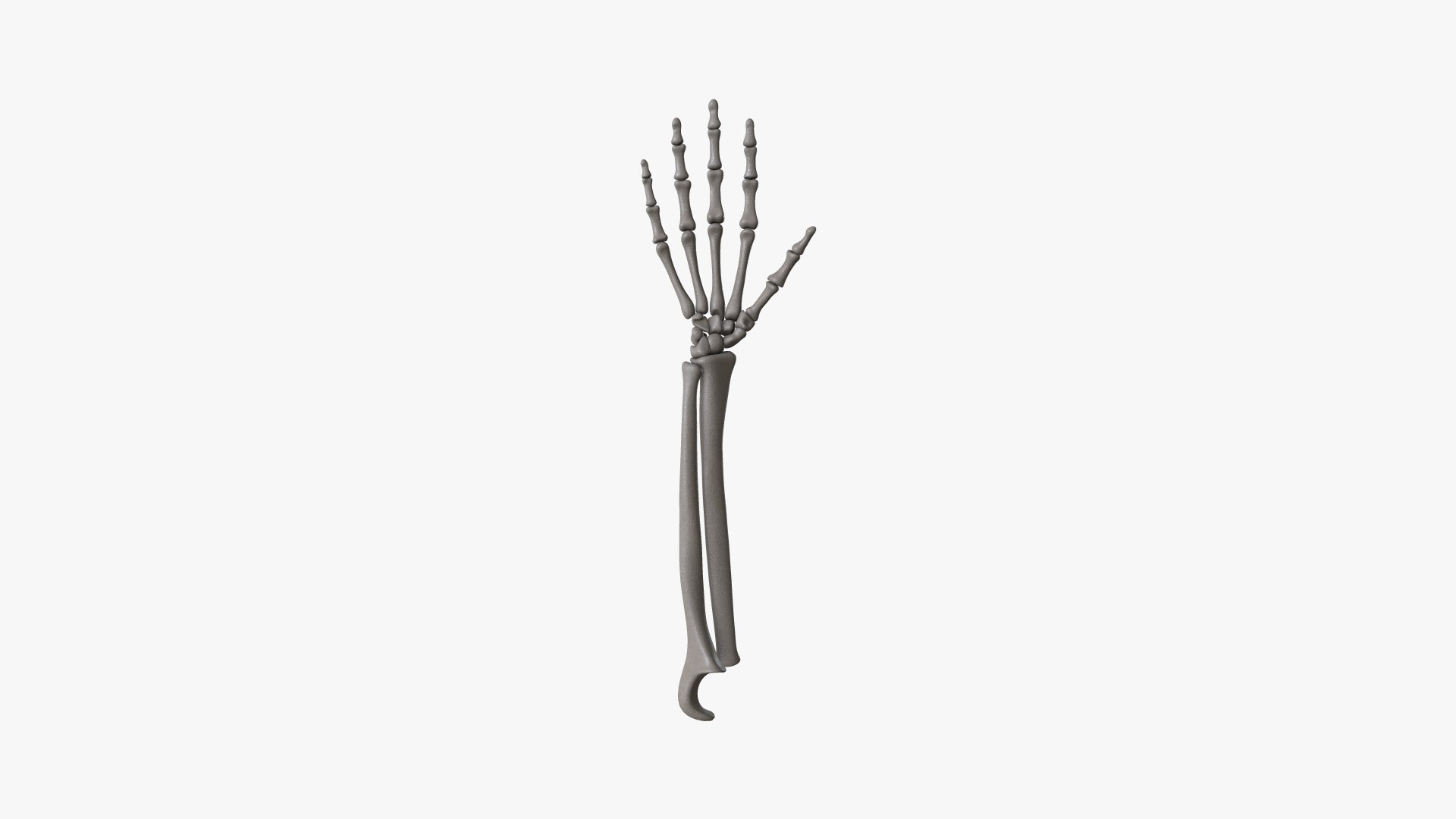 HND-020 Rigged Hand 3D - TurboSquid 2107519