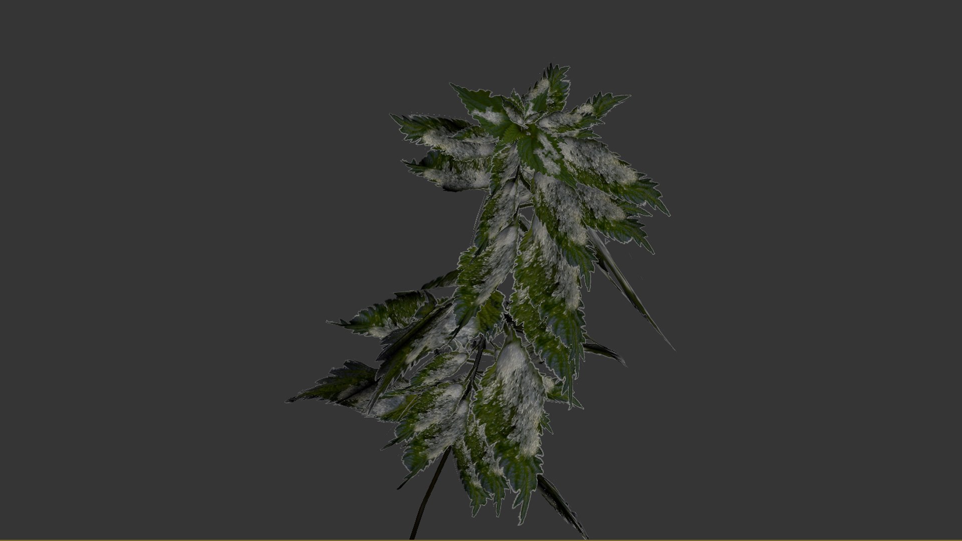Nettle snow 3D model - TurboSquid 2103047
